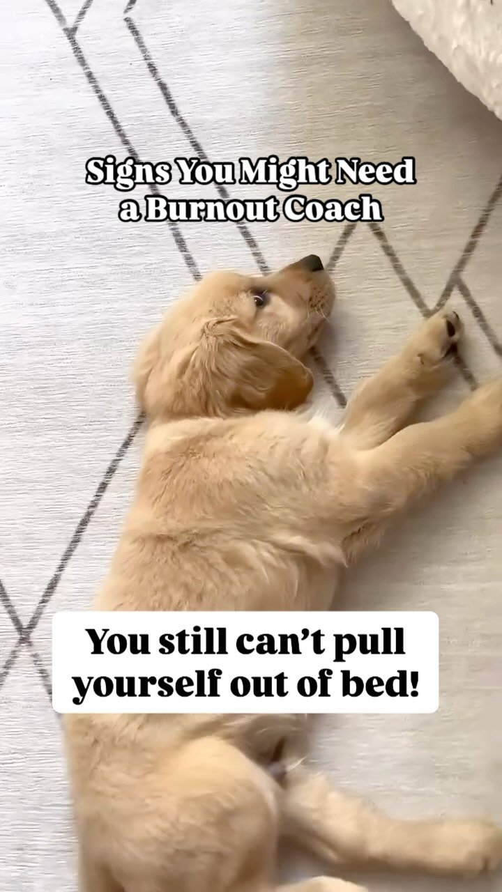 Screw Bogota, Gimme All the Cartagena — Coach Ellyn