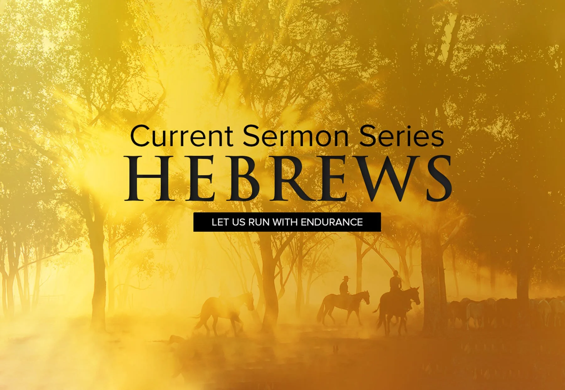 Learn — Bethel Presbyterian Church