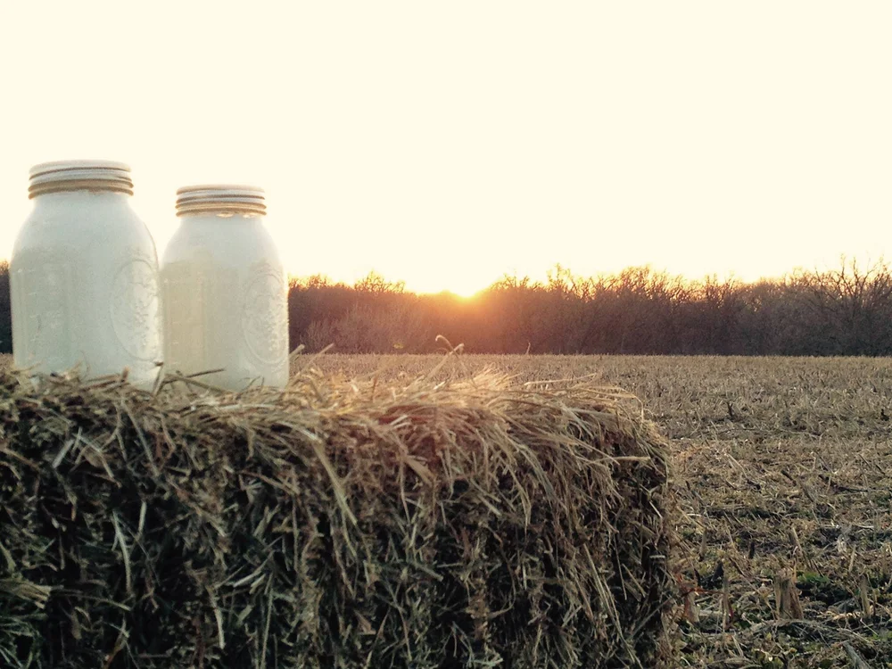 Dailey Farms