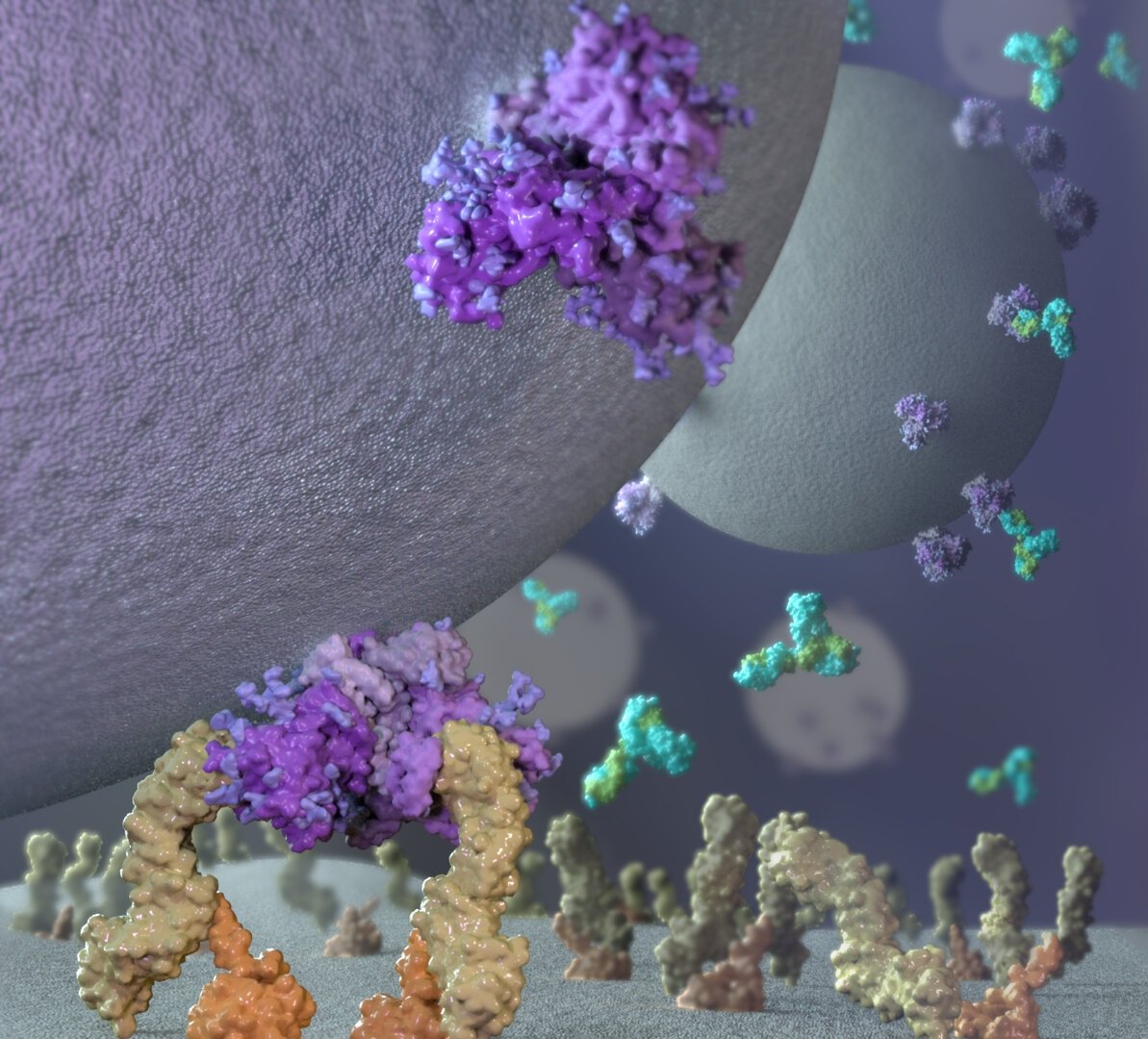 Barnes Lab at Stanford