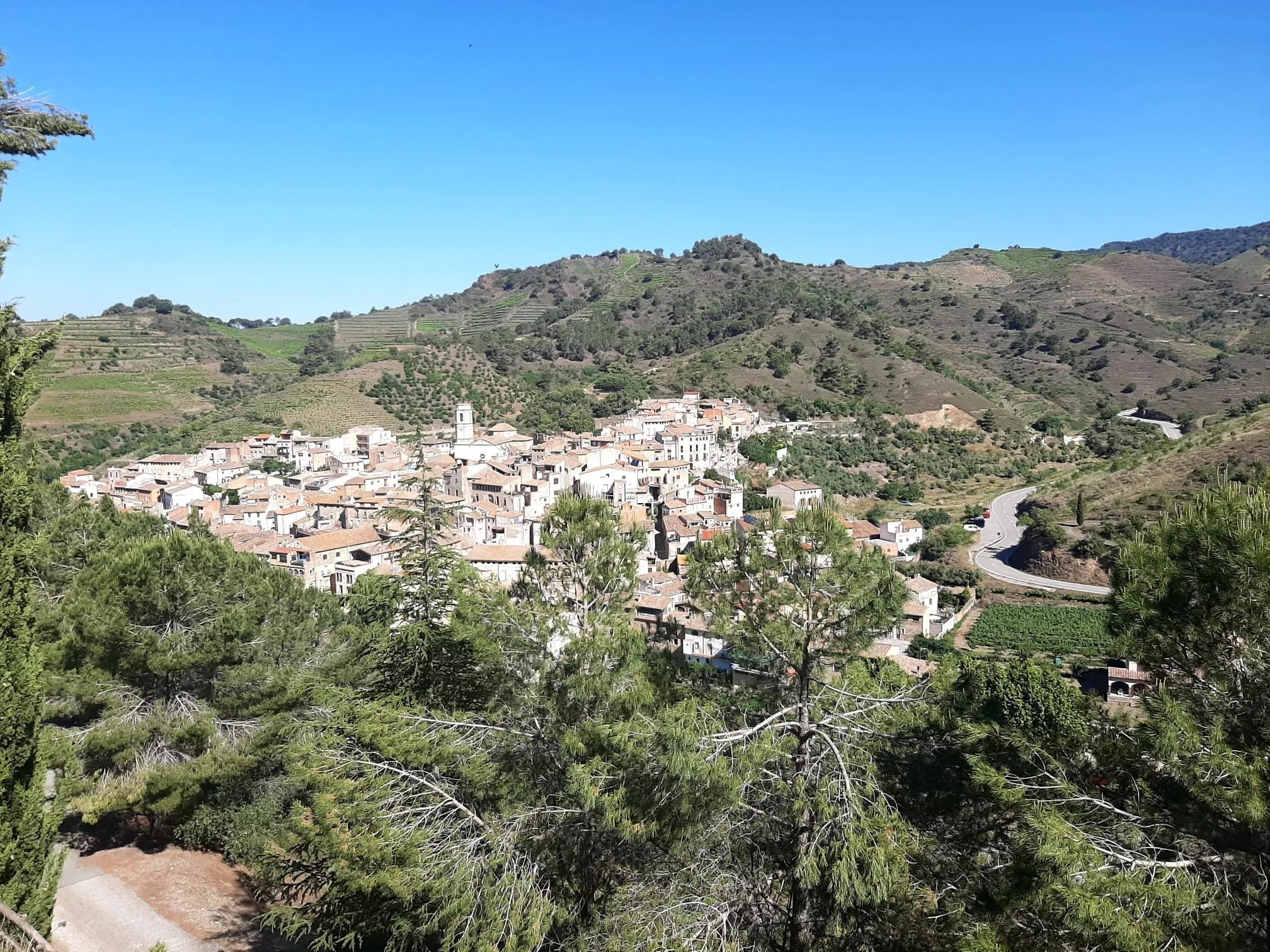 Terroir Historic 2018, Terroir al Límit — Spanish Wine Collective