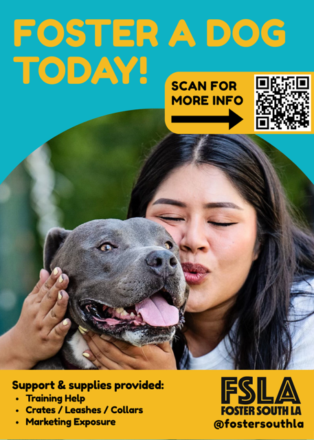 Foster South LA — Blue Man Dog