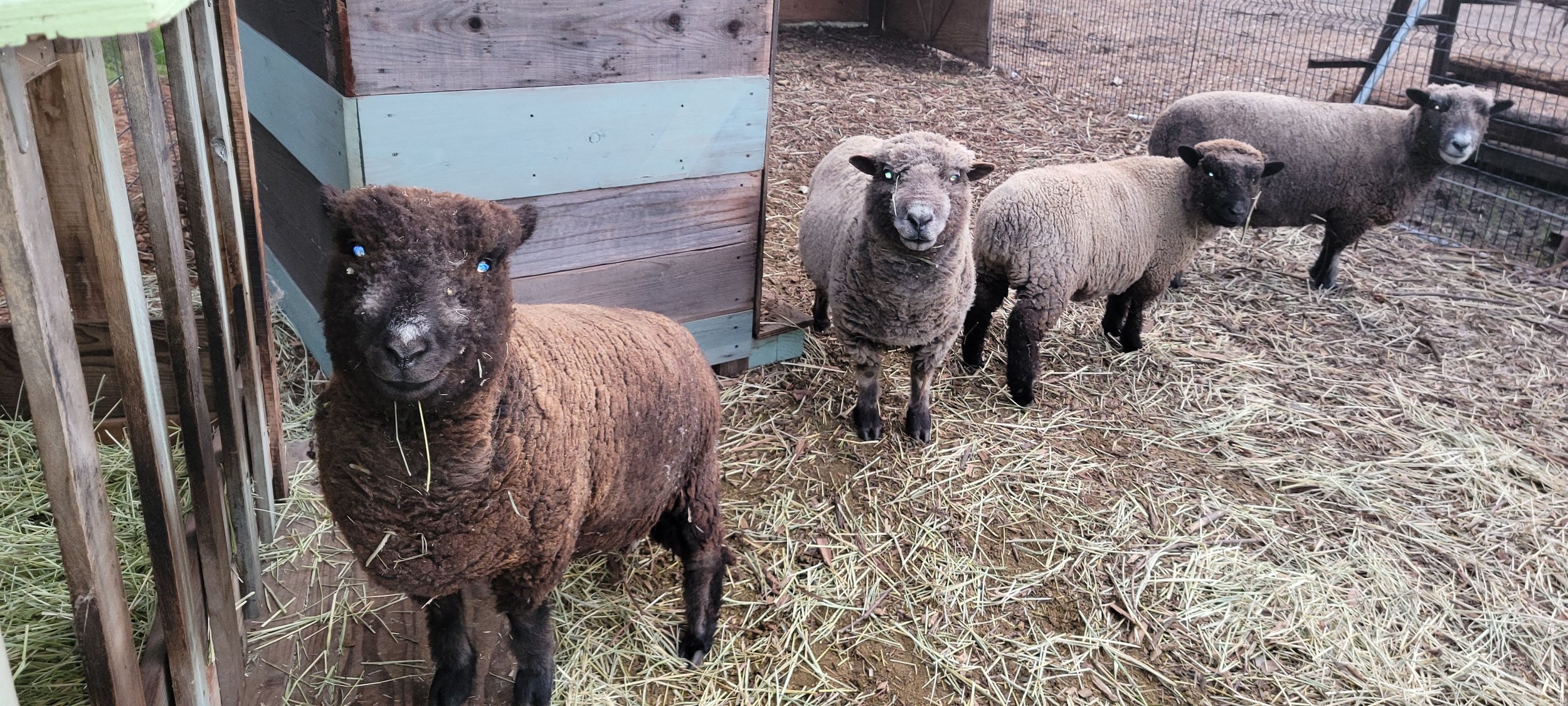 REAP Center | Regenerative Science Education | Bay Area California