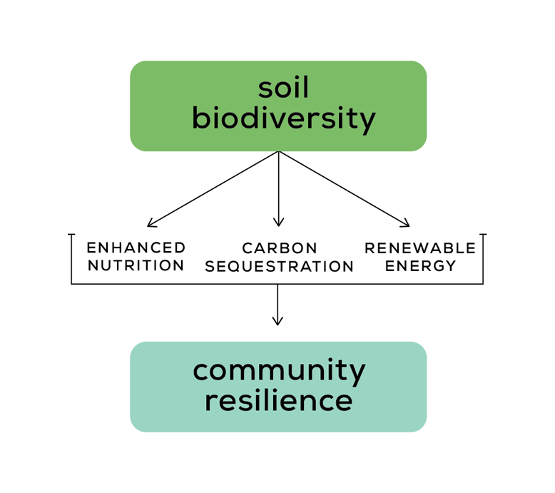 General 1 — REAP Center | Regenerative Science Education | Bay Area ...