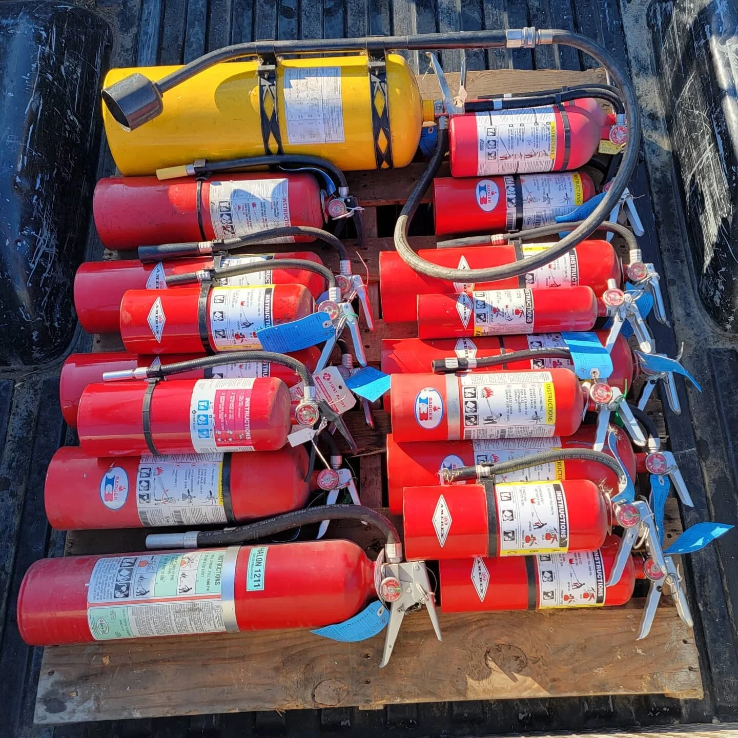 General 1 — REAP Center | Regenerative Science Education | Bay Area ...