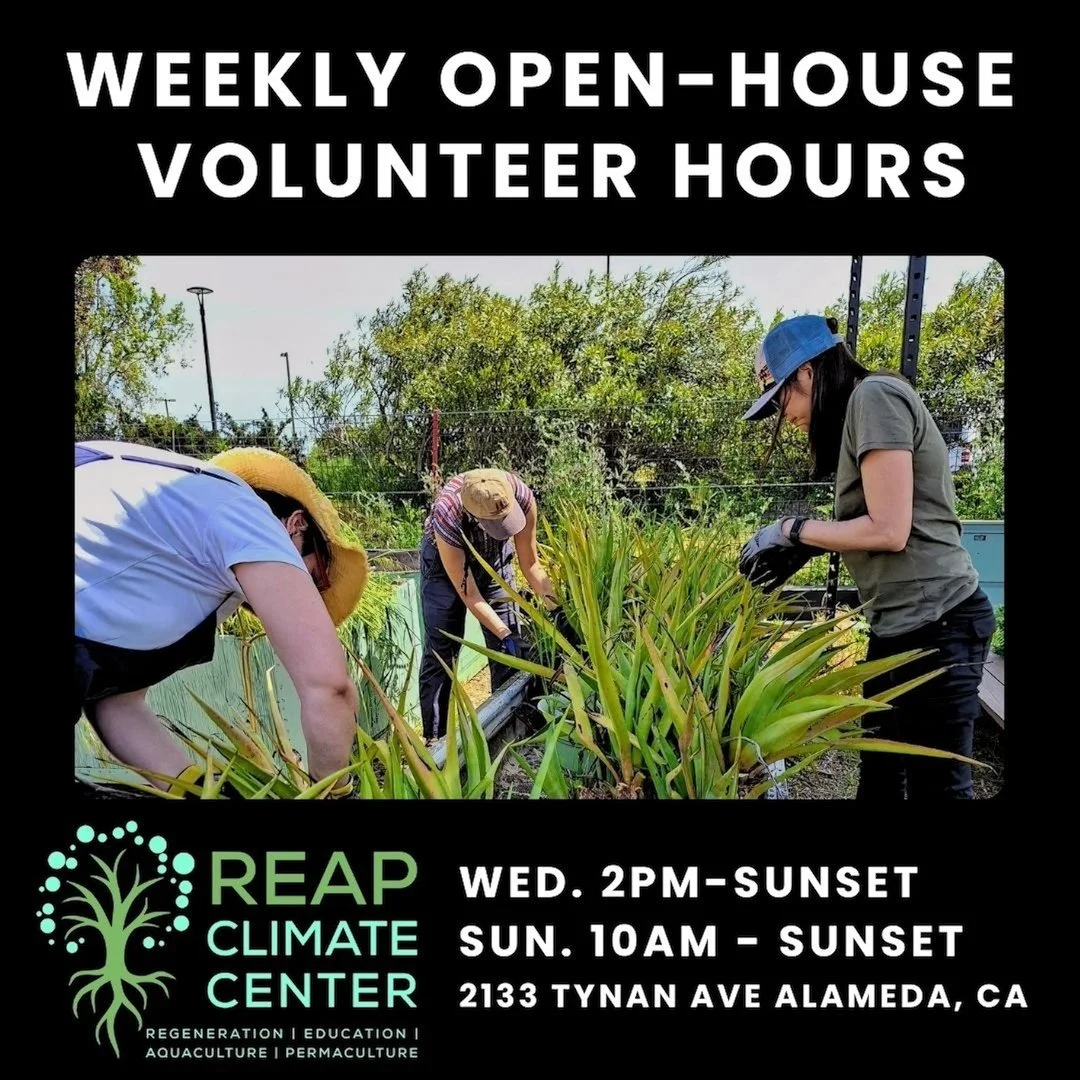 ACTIVITIES — REAP Climate Center