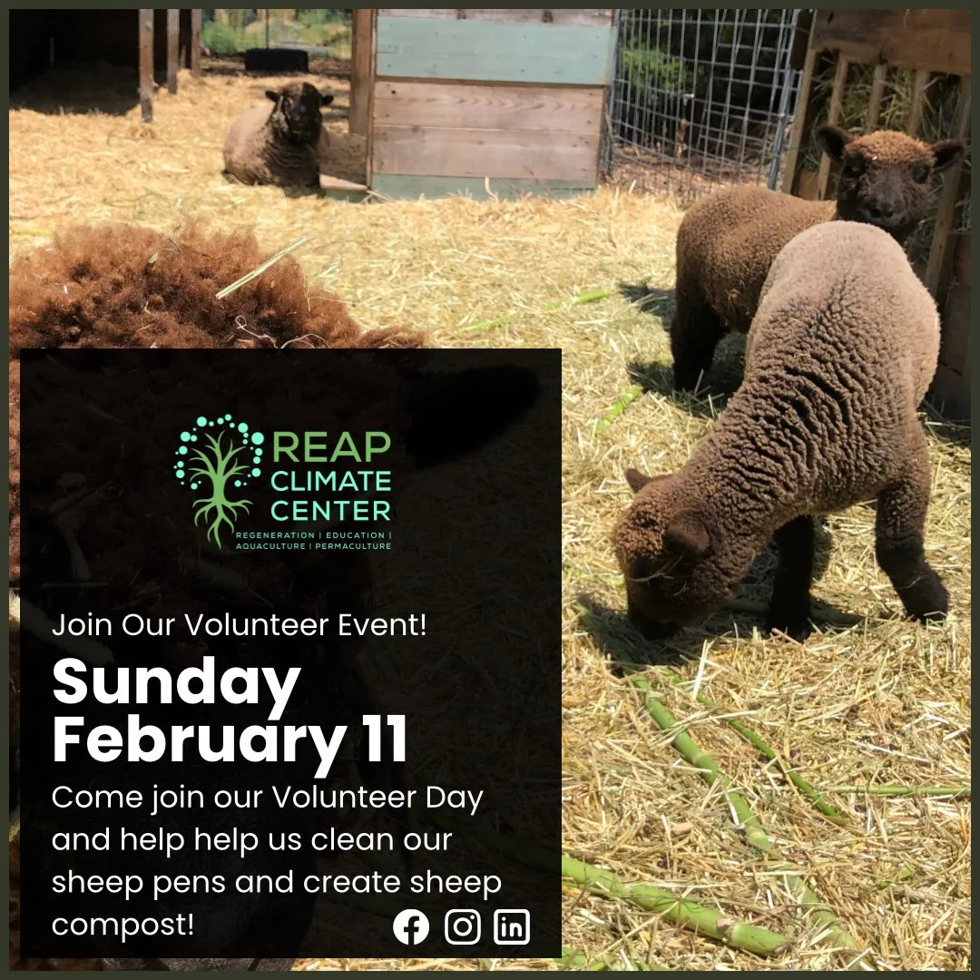 ACTIVITIES — REAP Climate Center