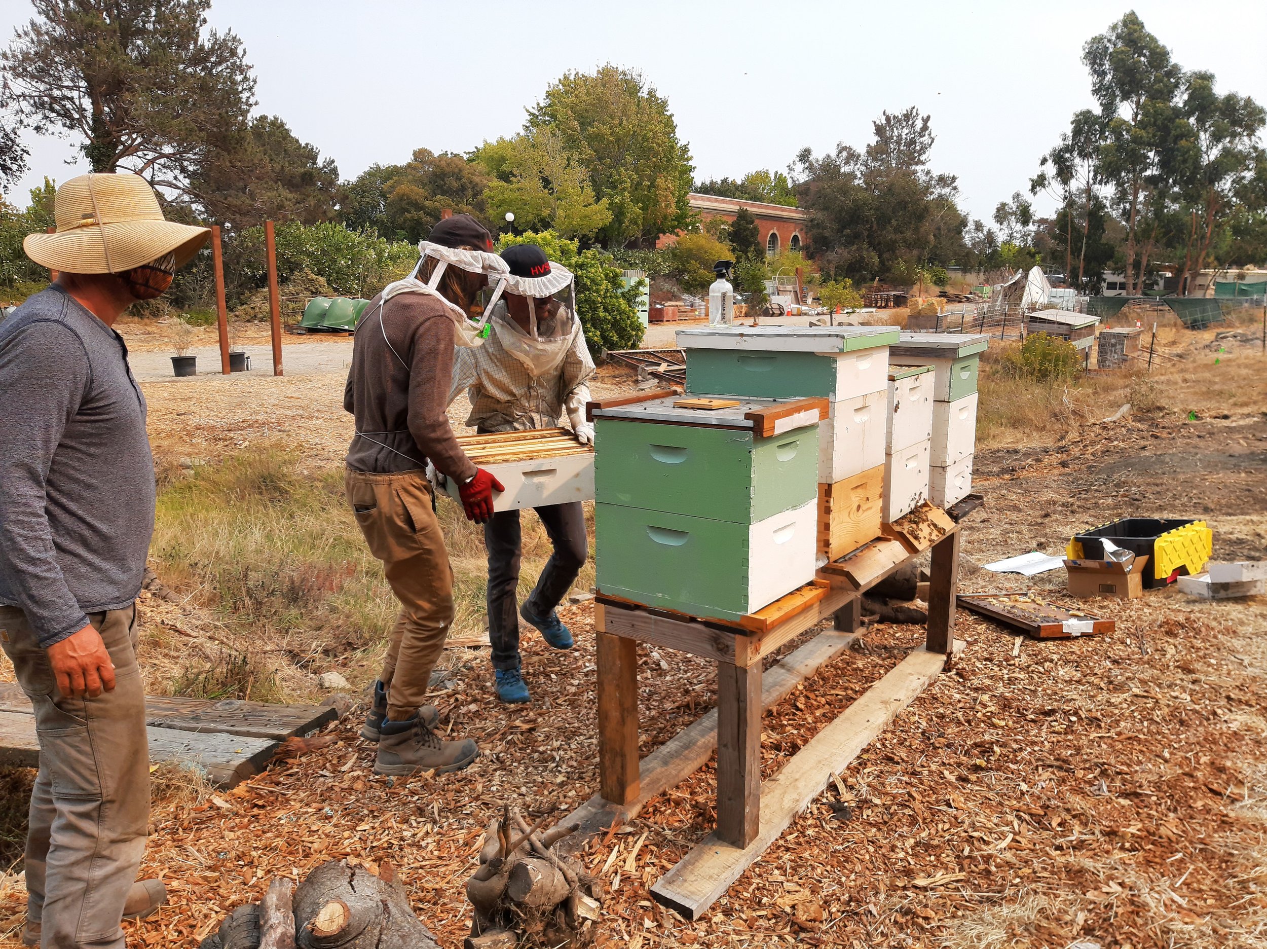 Beehives and Pollinator Garden — REAP Center | Regenerative Science ...