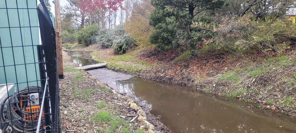 Bioswale Habitat Trail Restoration — REAP Climate Center