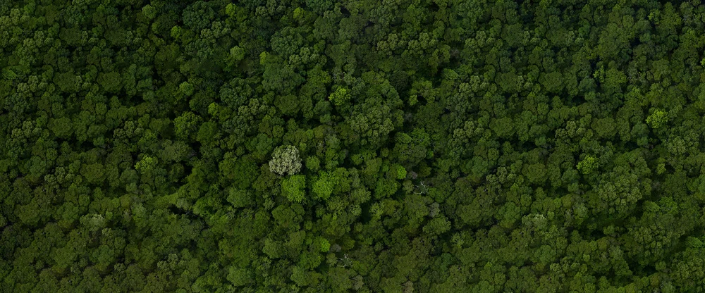 REAP Climate Center | Regenerative Science Education