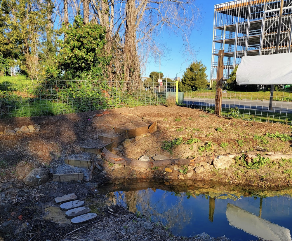Bioswale Habitat Trail Restoration — REAP Climate Center