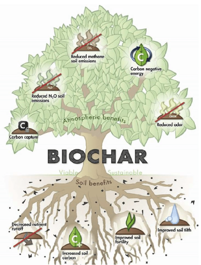 Biochar Bar — REAP Climate Center