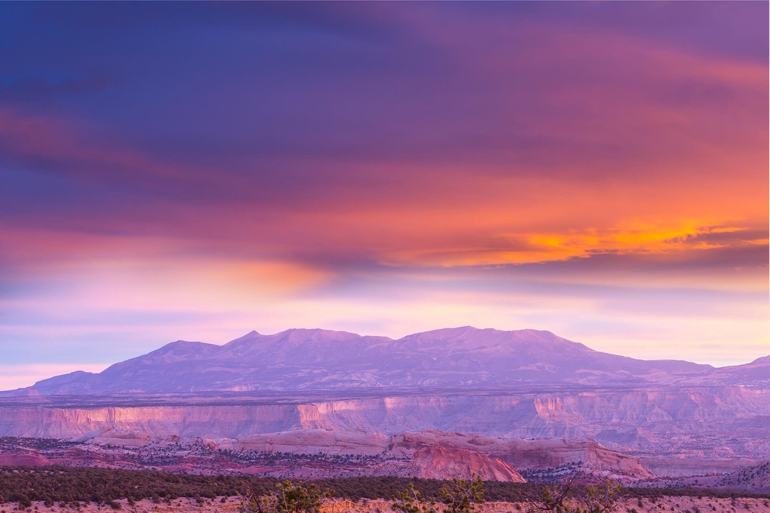Turquoise Trail Veterinary Urgent Care