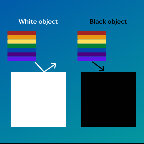 Seeing the world in color — Humility in Humanity