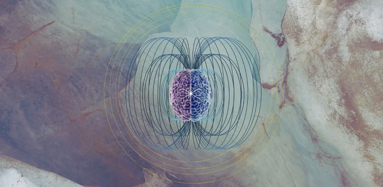 Alphabiotic Alignment | Brain Reboot Technique ~ Reset Your Brain ...