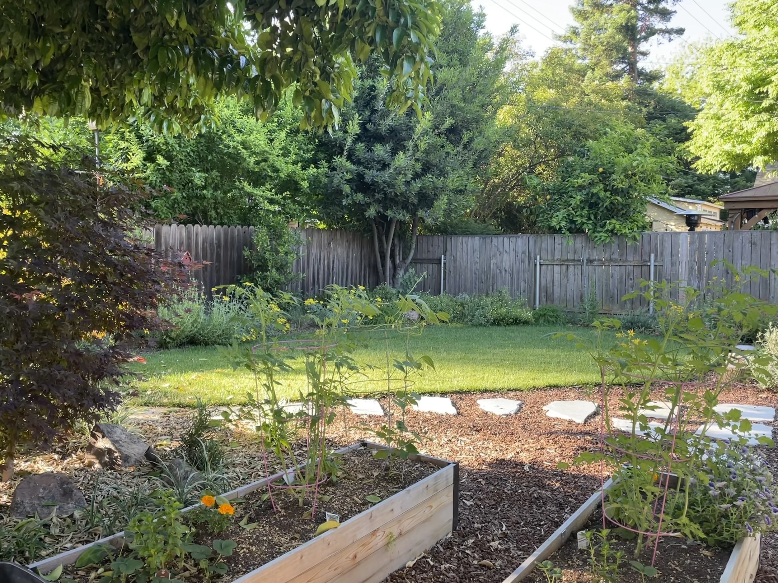 Genesis Landscapes Sacramento