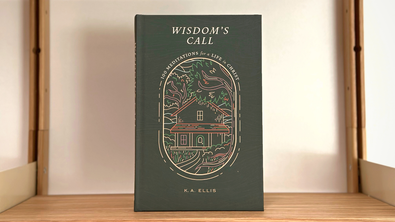 Wisdom’s Call — @diveindigdeep