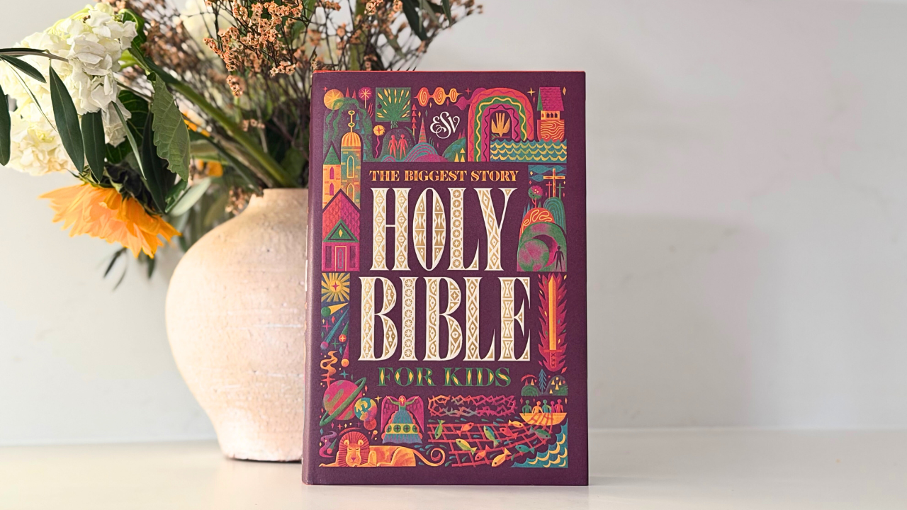 ESV The Biggest Story Holy Bible for Kids — @diveindigdeep