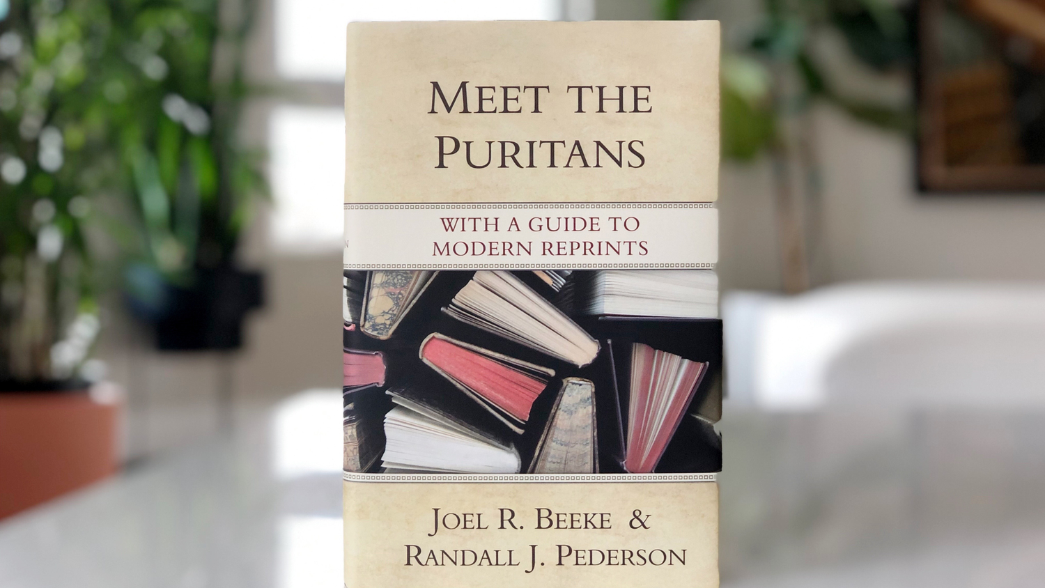 Meet the Puritans — @diveindigdeep