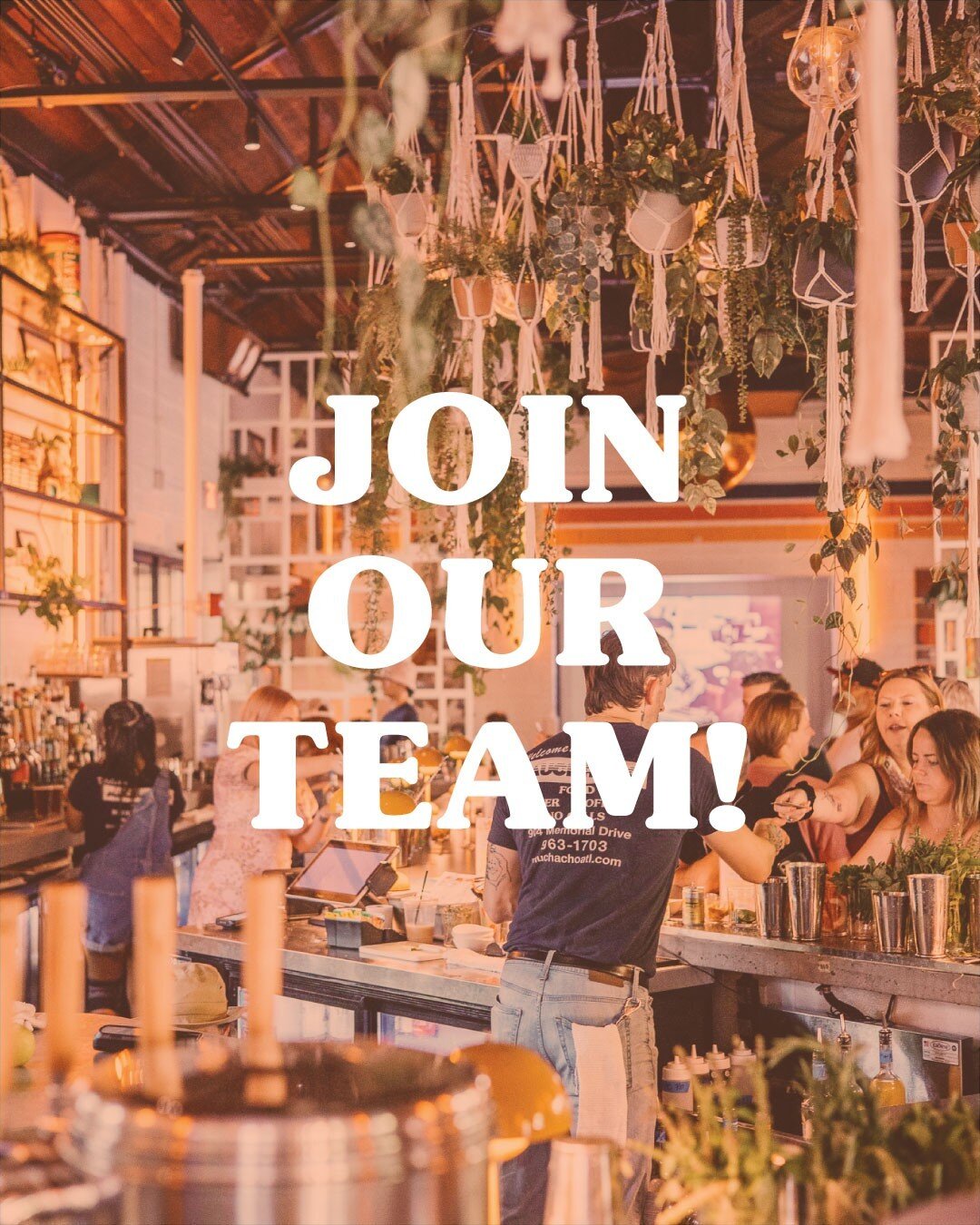 Contact — Muchacho