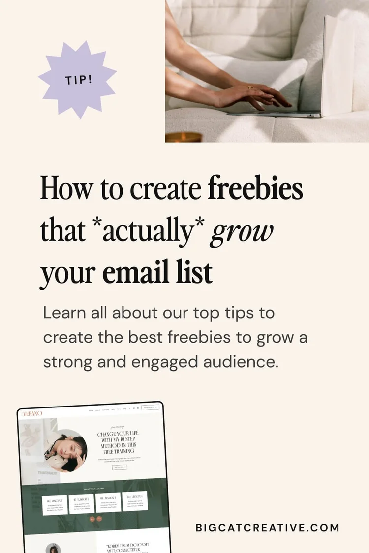 Everything You Need to Know to Create Freebies That (actually) Grow ...