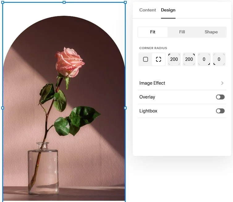 How to Create Rounded Corners and Unique Shapes for Your Images in ...