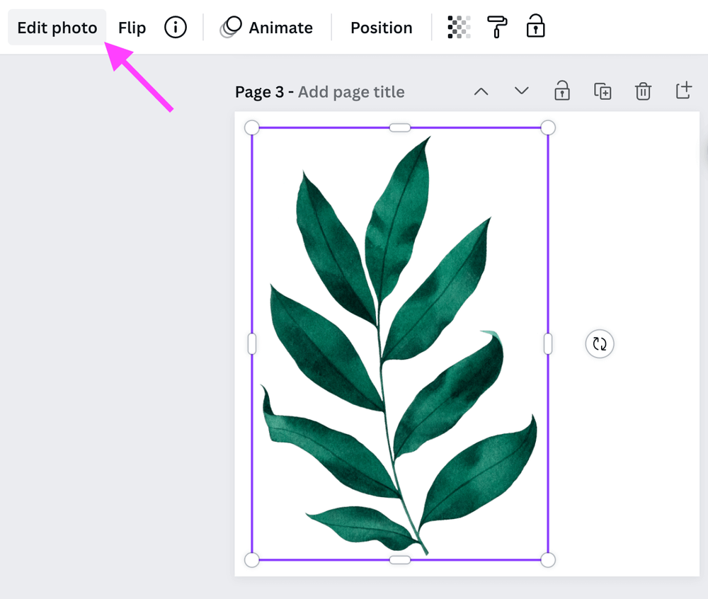 How to change the colour of your images and graphics in Canva for FREE ...