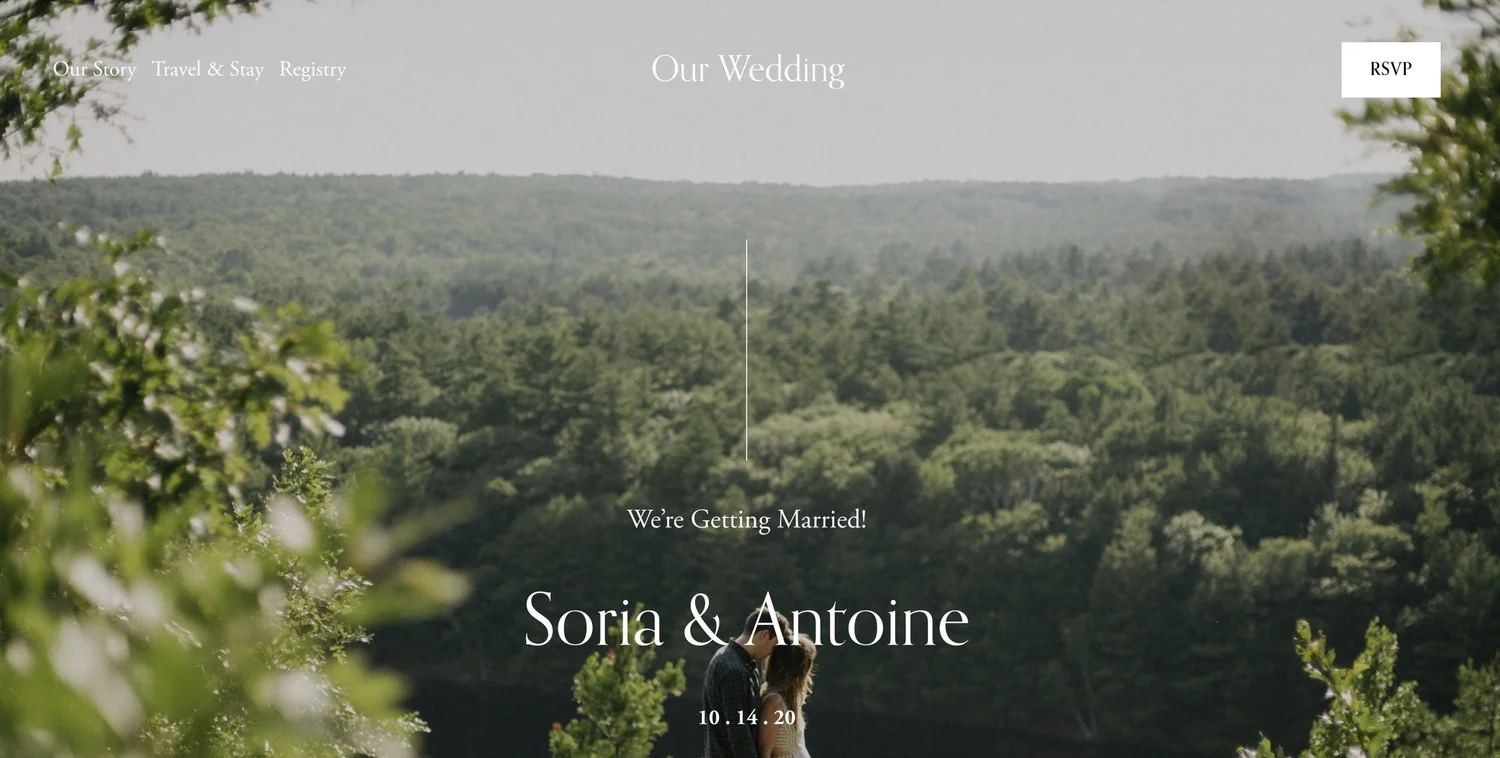 How to create a vertical line in Squarespace (7.0 & 7.1) — Big Cat ...