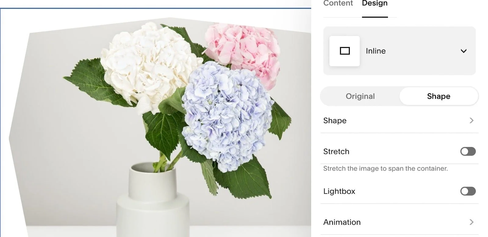 How to create rounded corners and unique shapes for your images in ...