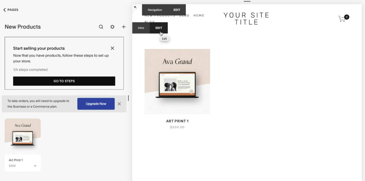 How to Add a Shop to Squarespace step by step — Big Cat Creative ...