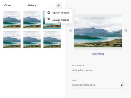 The ultimate guide to Portfolio pages on Squarespace 7.1 — Big Cat ...