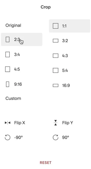 How to resize and crop images in Squarespace Classic Editor — Big Cat ...