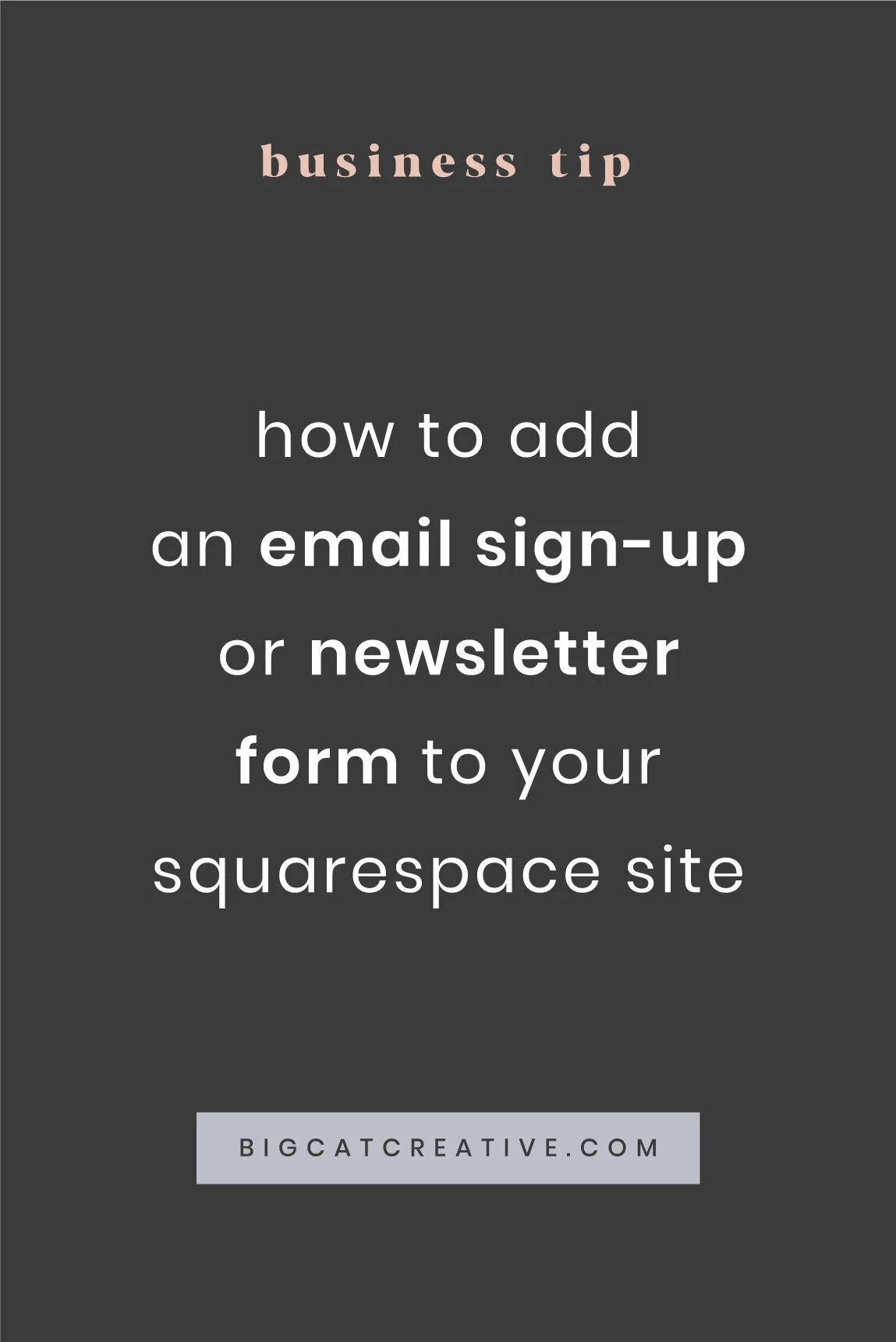 How to add an email sign-up form to your Squarespace site — Big Cat ...