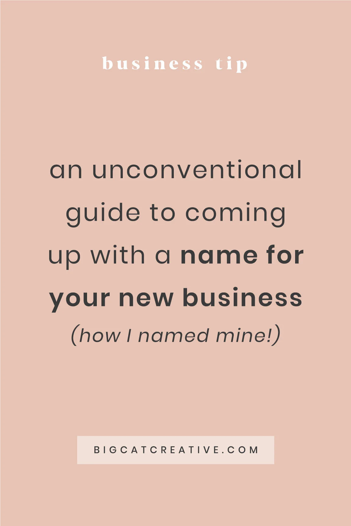 An unconventional guide to naming your new business — Big Cat Creative ...