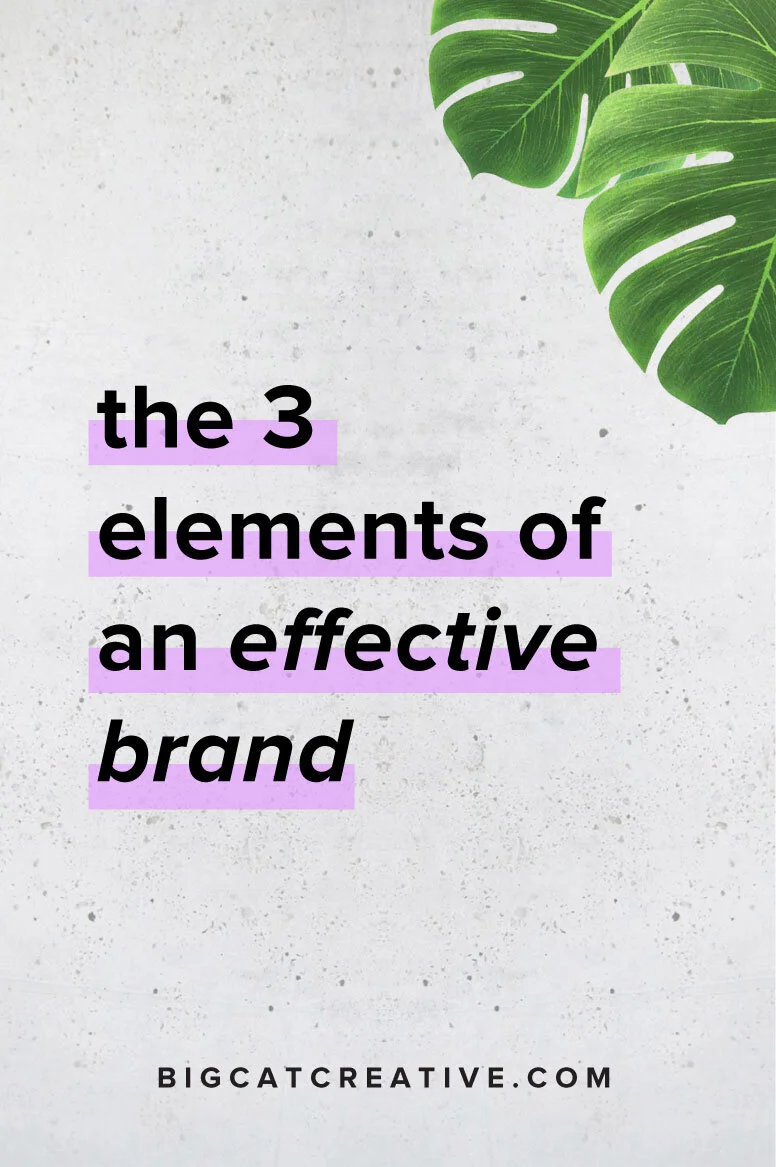 The 3 elements of a successful brand — Big Cat Creative - Squarespace ...