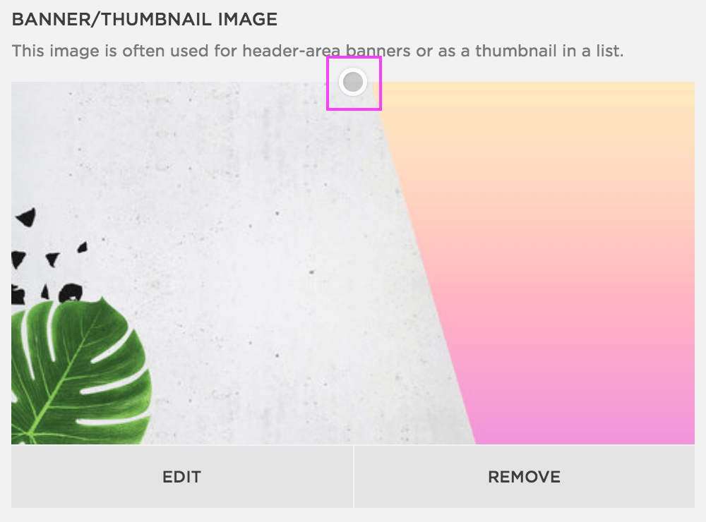 3 Squarespace Mobile View Design Hacks — Big Cat Creative - Squarespace ...
