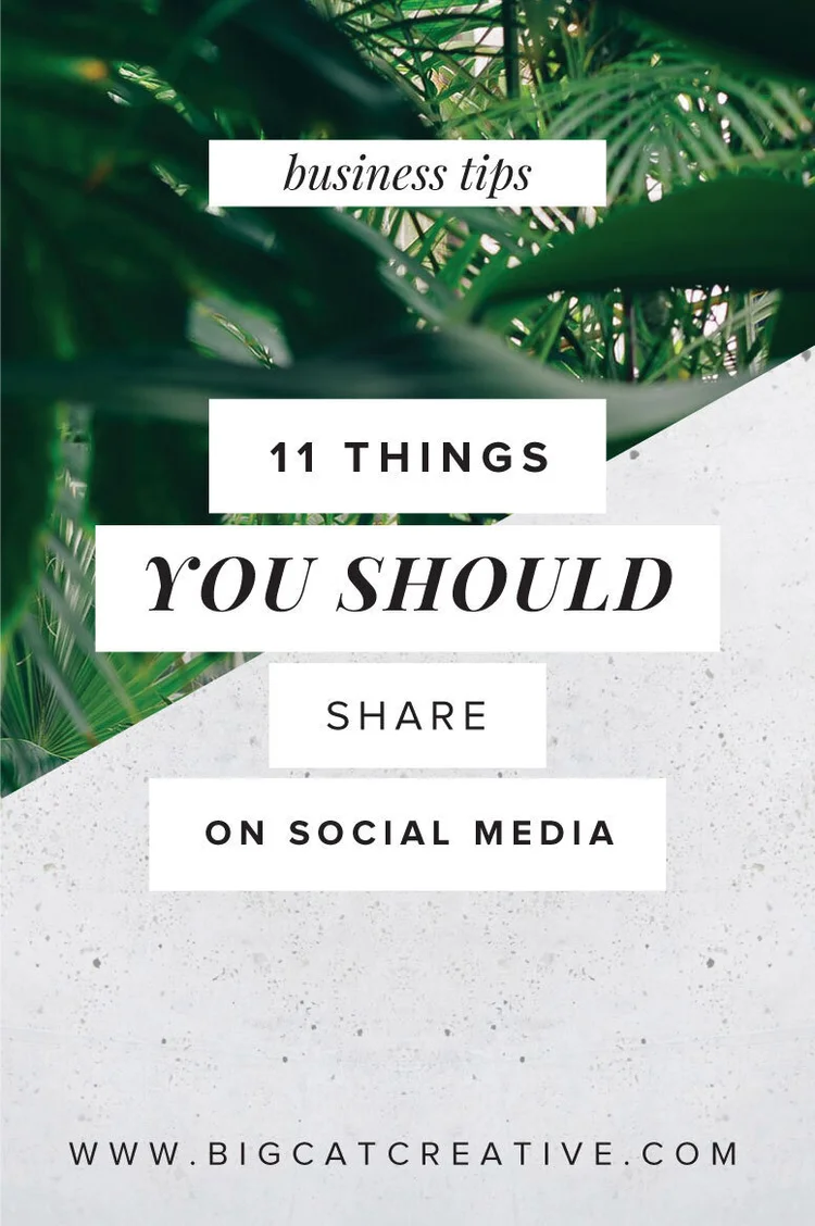 11 things you should share on Social Media — Big Cat Creative ...