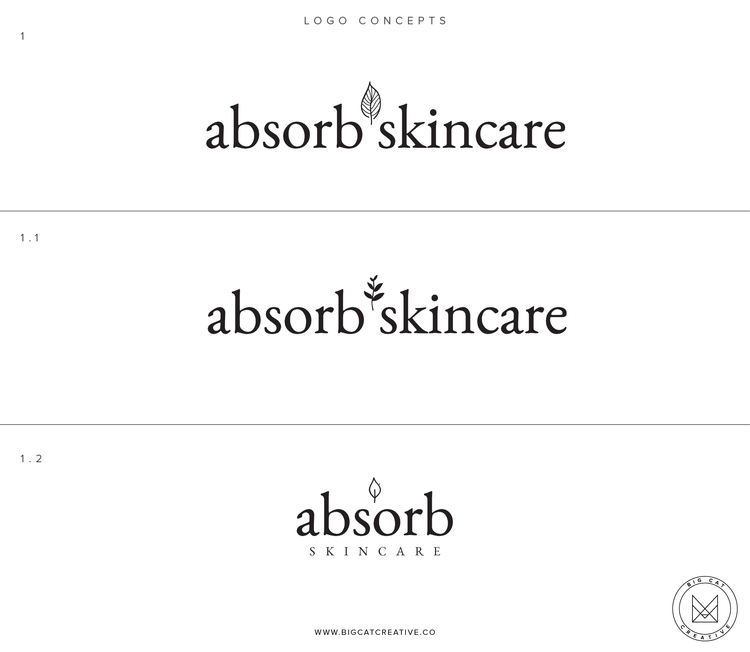 Absorb Skincare: Brand and Squarespace Website Design — Big Cat ...