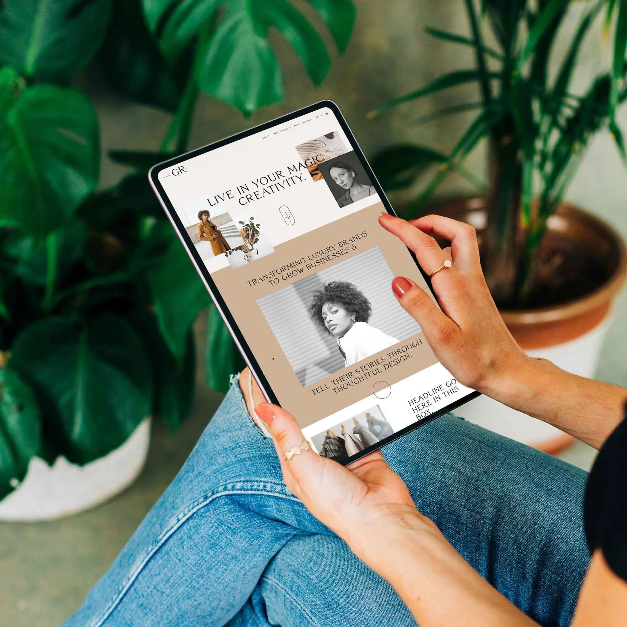 Big Cat Creative Squarespace Templates Resources