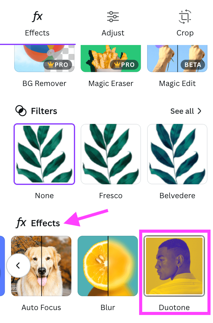 How to change the colour of your images and graphics in Canva for FREE ...