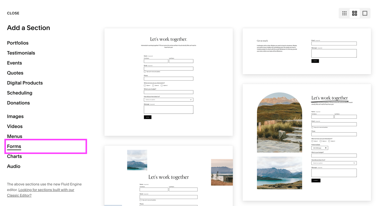 How to Customize Squarespace Forms (and Say Goodbye to Boring Contact Forms) — Big Cat Creative ...