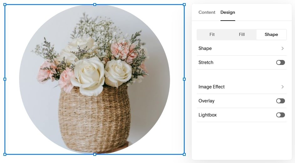How to Create Rounded Corners and Unique Shapes for Your Images in ...