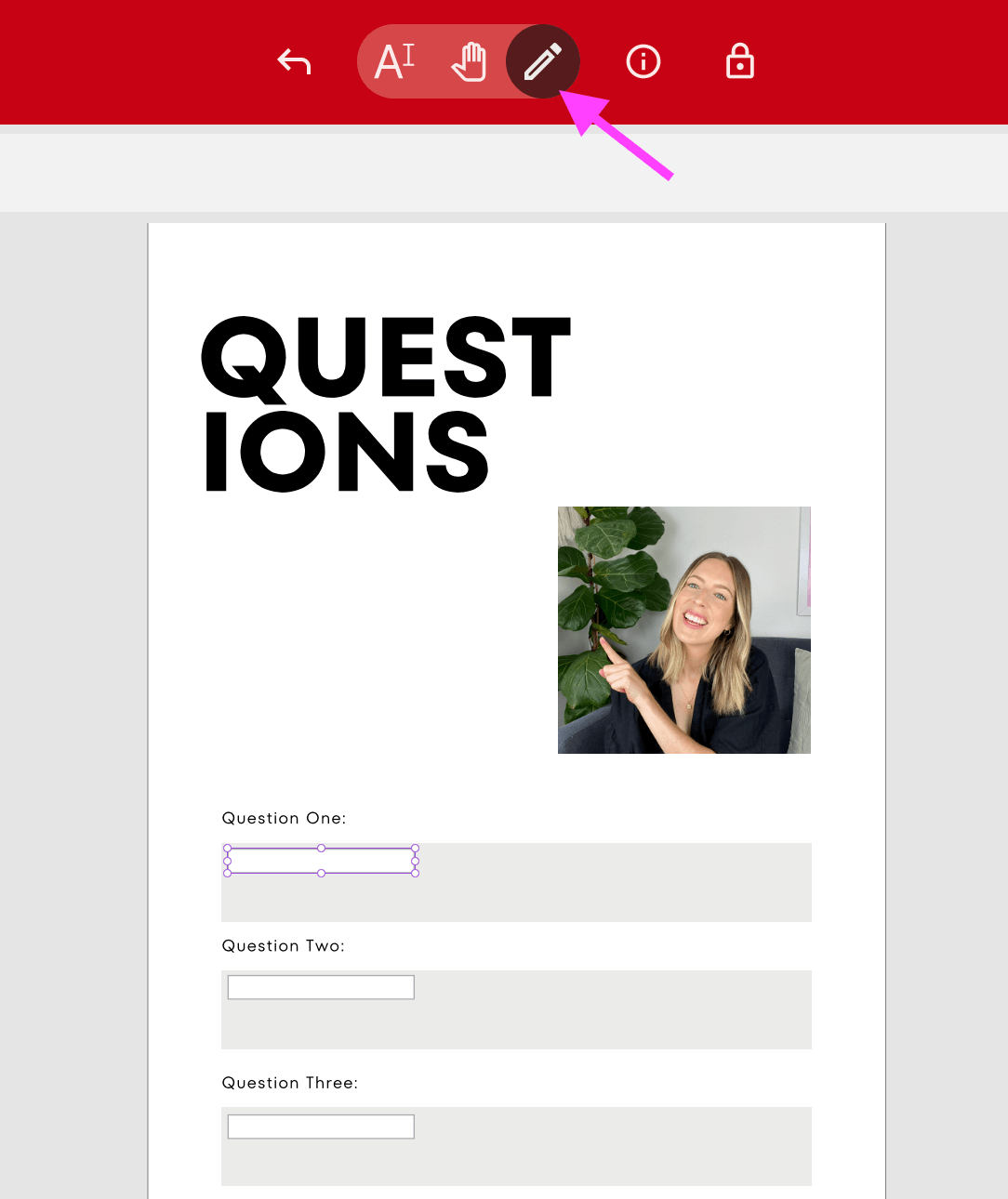 How to create a fillable PDF workbook (in Canva for free!) — Big Cat ...