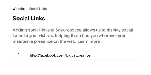 How to integrate social media with your Squarespace site — Big Cat Creative - Squarespace ...