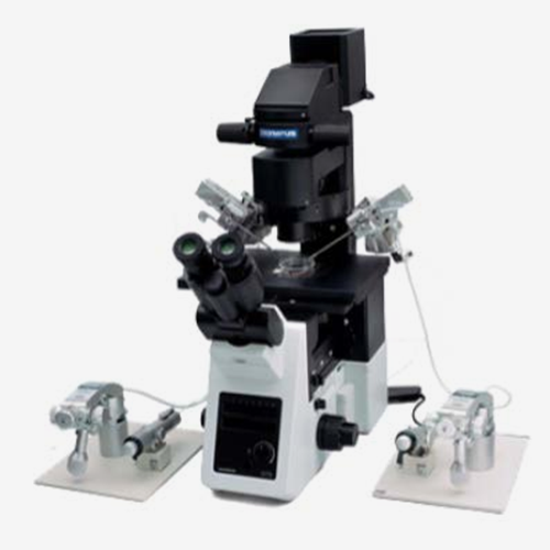 Olympus Narishige IX73 – MTK1 Takanome ICSI System Products India ...