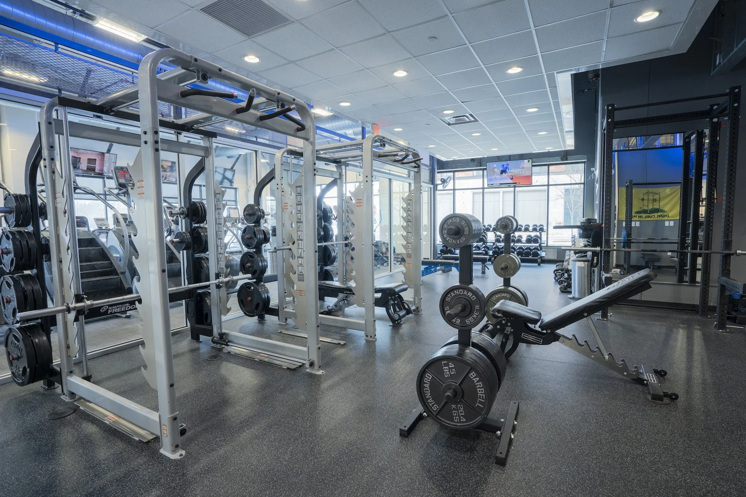 Mesh Fitness
