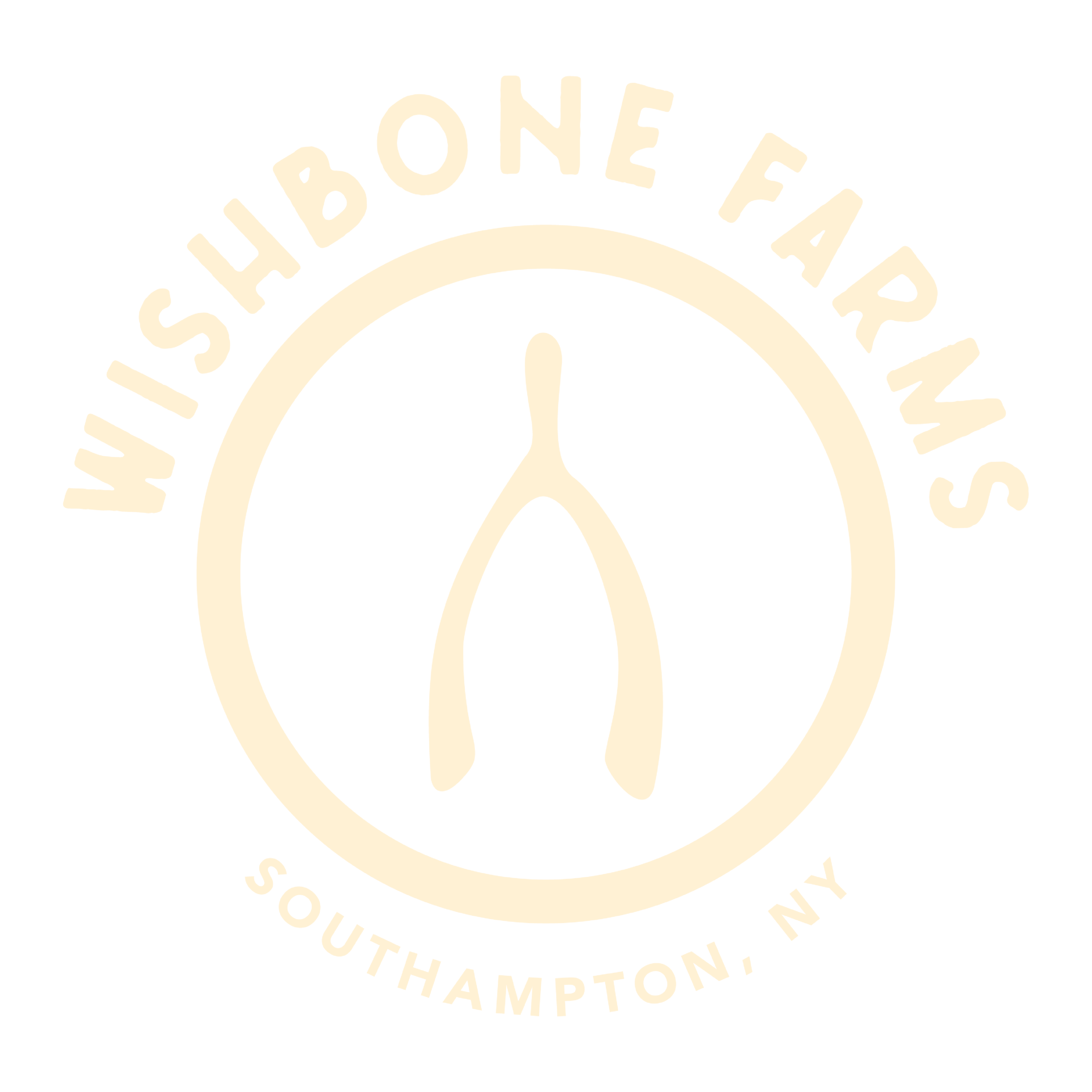 Wishbone Logo