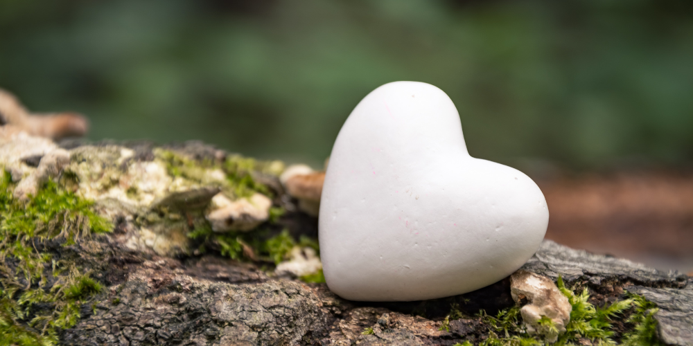 The Path to a Healthy Heart: Seven Ways Trails Make a Difference ...