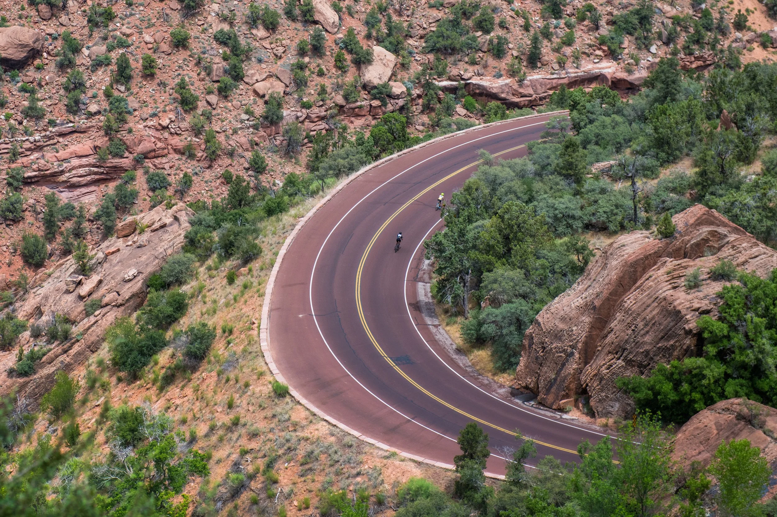 Zion Bike Tours - Zion Scenic Drive Cycling - Zion Guide Hub — ZION ...