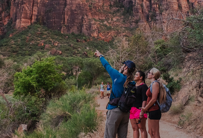 Guided Hikes in Zion National Park - Zion Hiking Tours — ZION GUIDE HUB